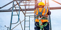Fall Protection Bis Safety Software